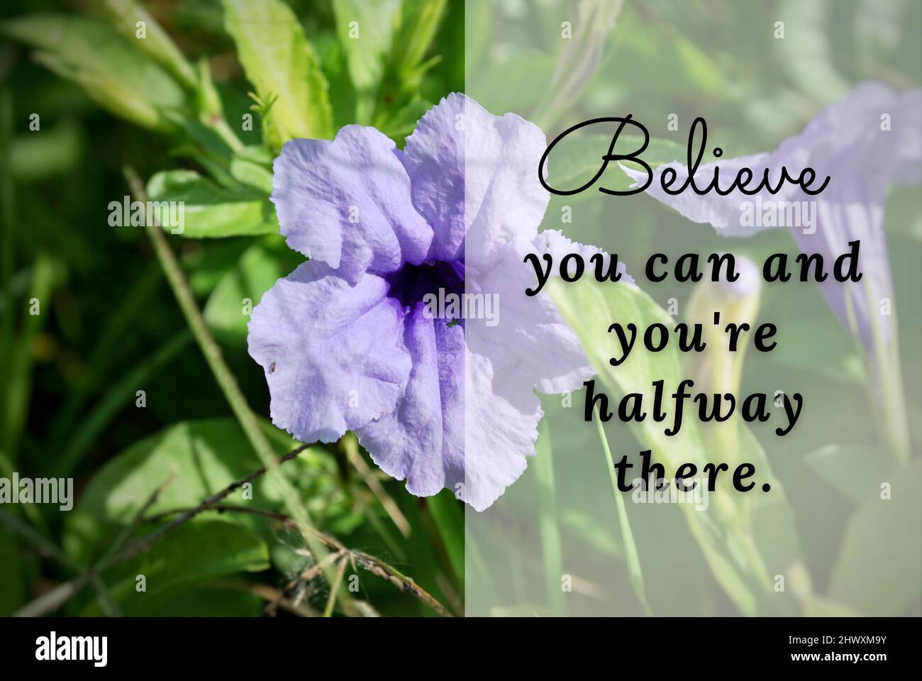 Motivational and Inspiration quote - Believe you can and you're halfway ...
