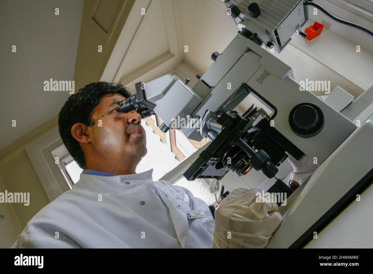 Pathologist analysing a sample under a microscope. (MODEL RELEASED ...