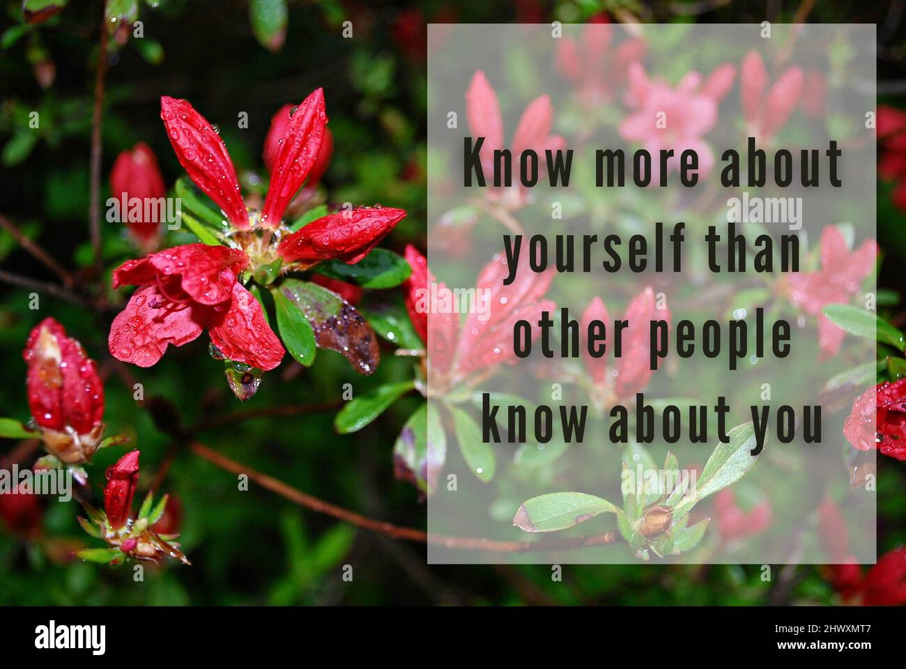 Motivational and Inspiration quote - Know more about yourself than ...