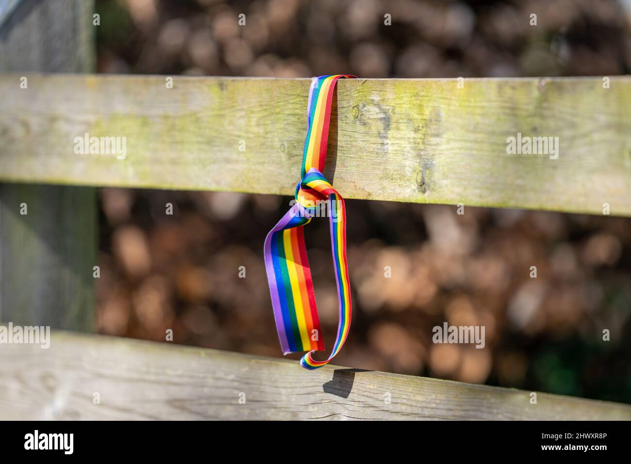 Rainbow ribbon hi-res stock photography and images - Alamy
