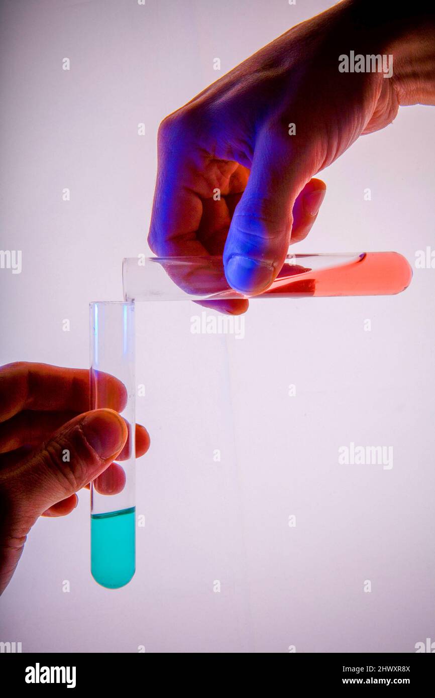 The hands of a laboratory technician pouring a reagent into a test tube ...