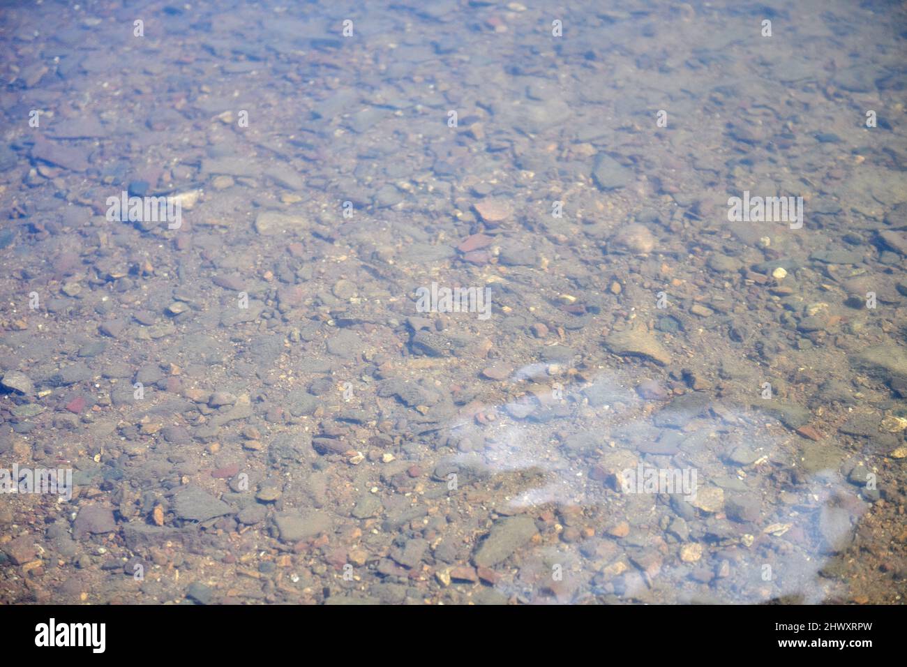 The lake water is very clear and clean Stock Photo - Alamy