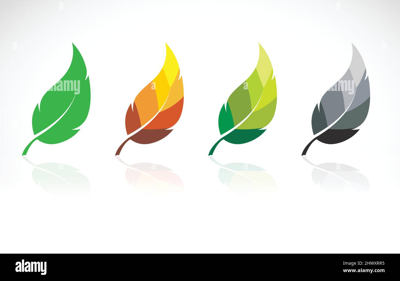 Vector image of leaves design on white background. Easy editable ...