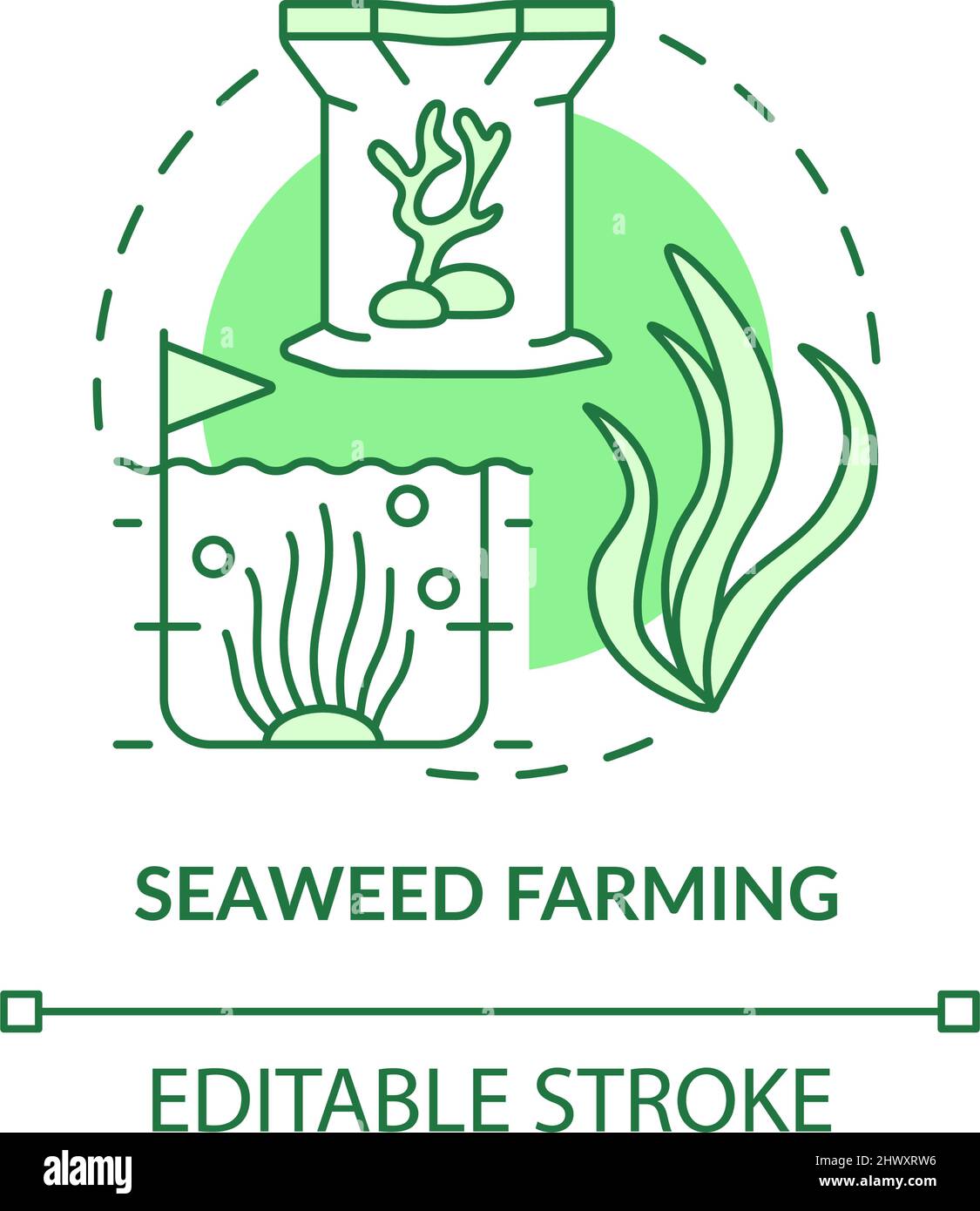 Seaweed farming green concept icon Stock Vector Image & Art - Alamy