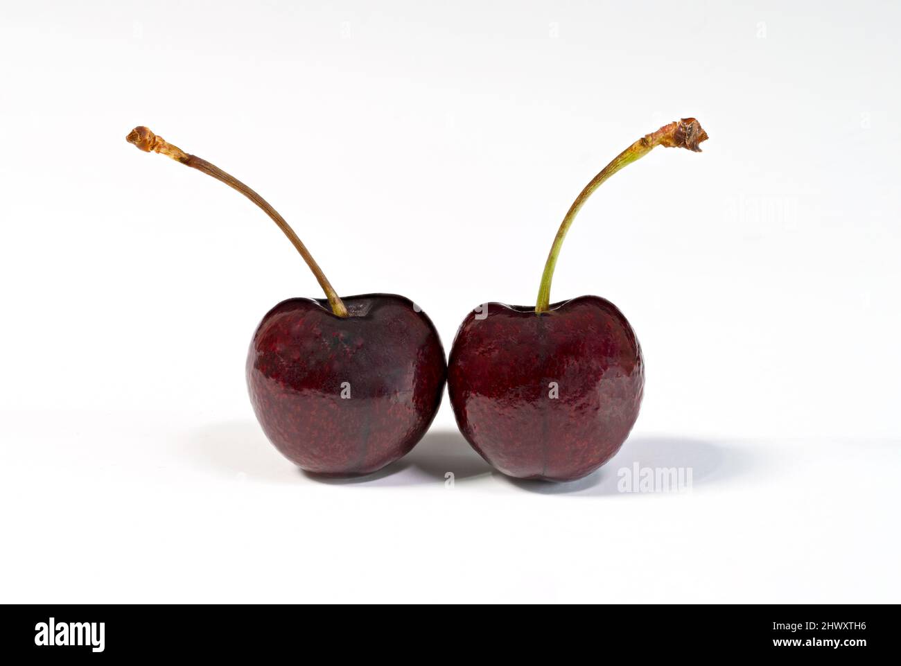 A pair of fresh Black Cherries, (so called even though they look ...