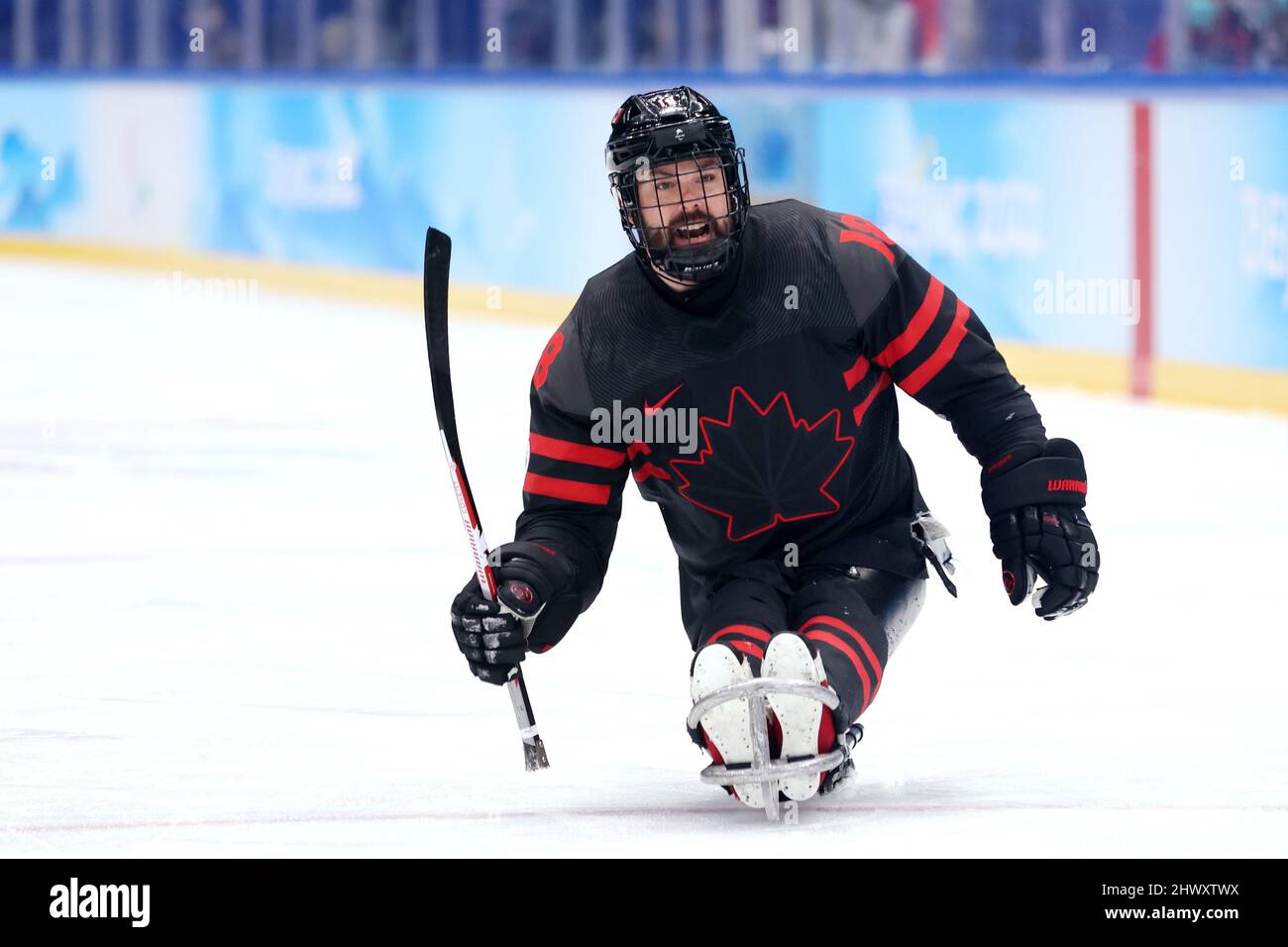 Beijing, China. 8th Mar, 2022. Billy Bridges (CAN) Para Ice Hockey ...