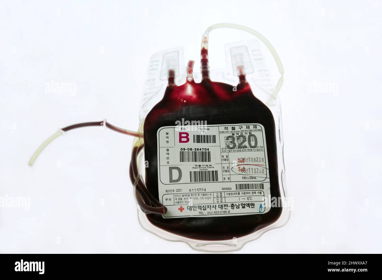 Still life of a blood bag Stock Photo - Alamy