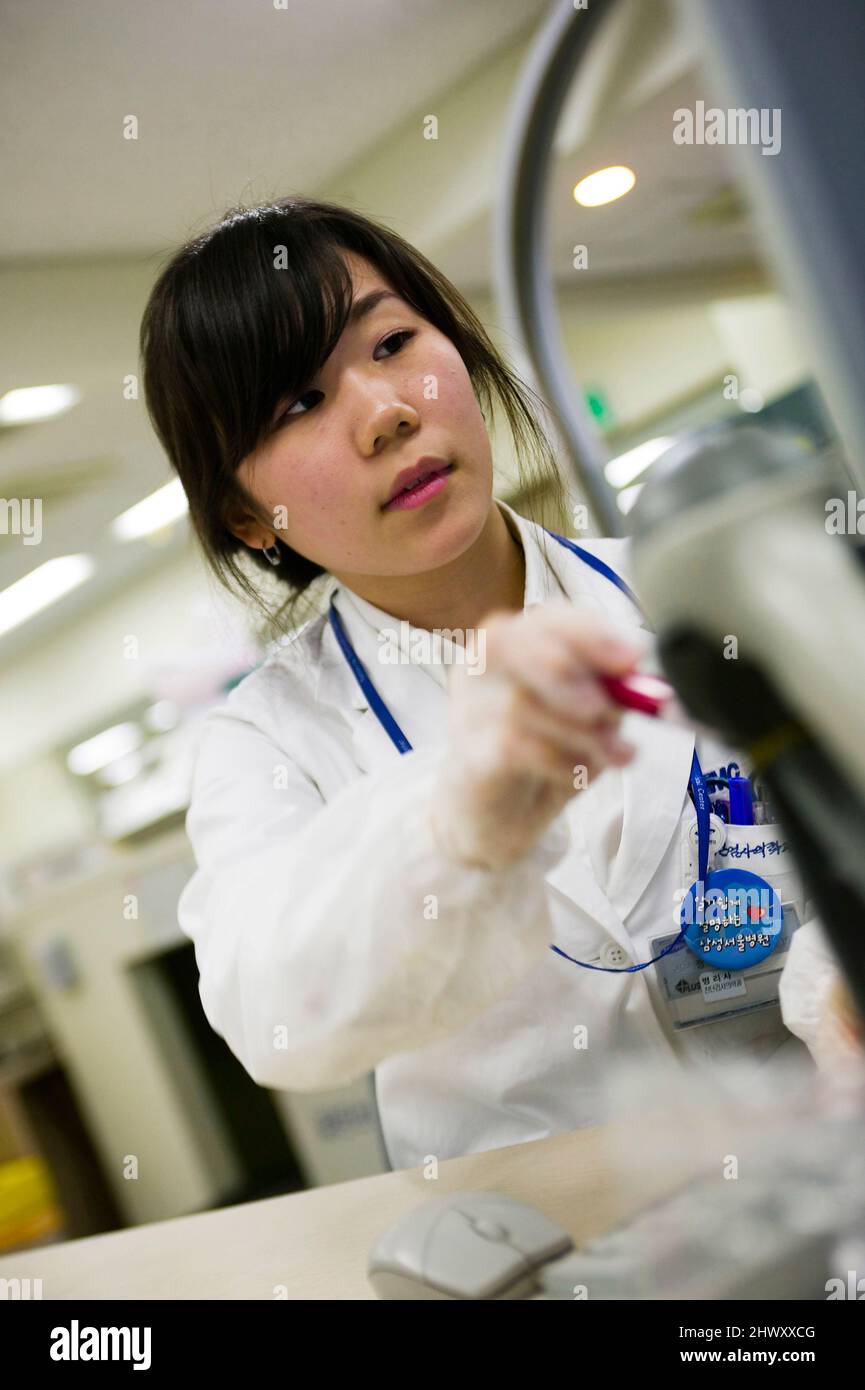 Laboratory technician placing a blood sample into an automated analysis ...