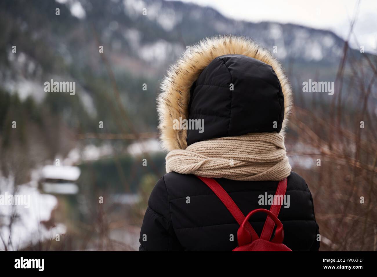 Image from the back of a tourist lady in winter coat looking at the ...