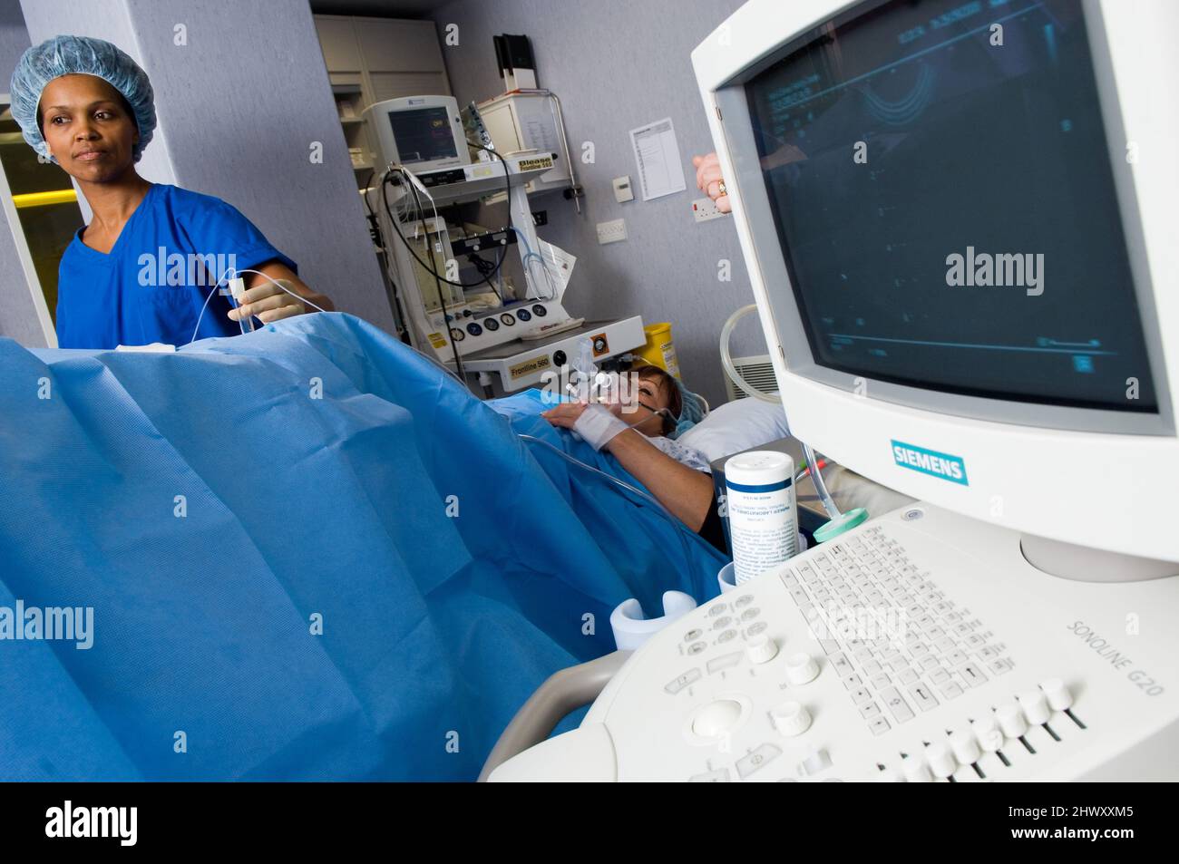 Eggs are collected from female patients during surgery, which is ...