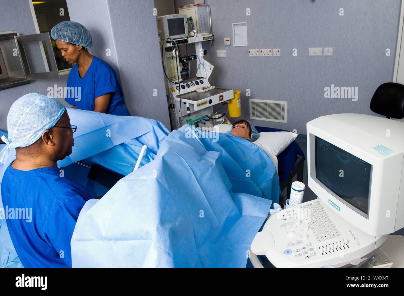 Eggs are collected from female patients during surgery, which is ...