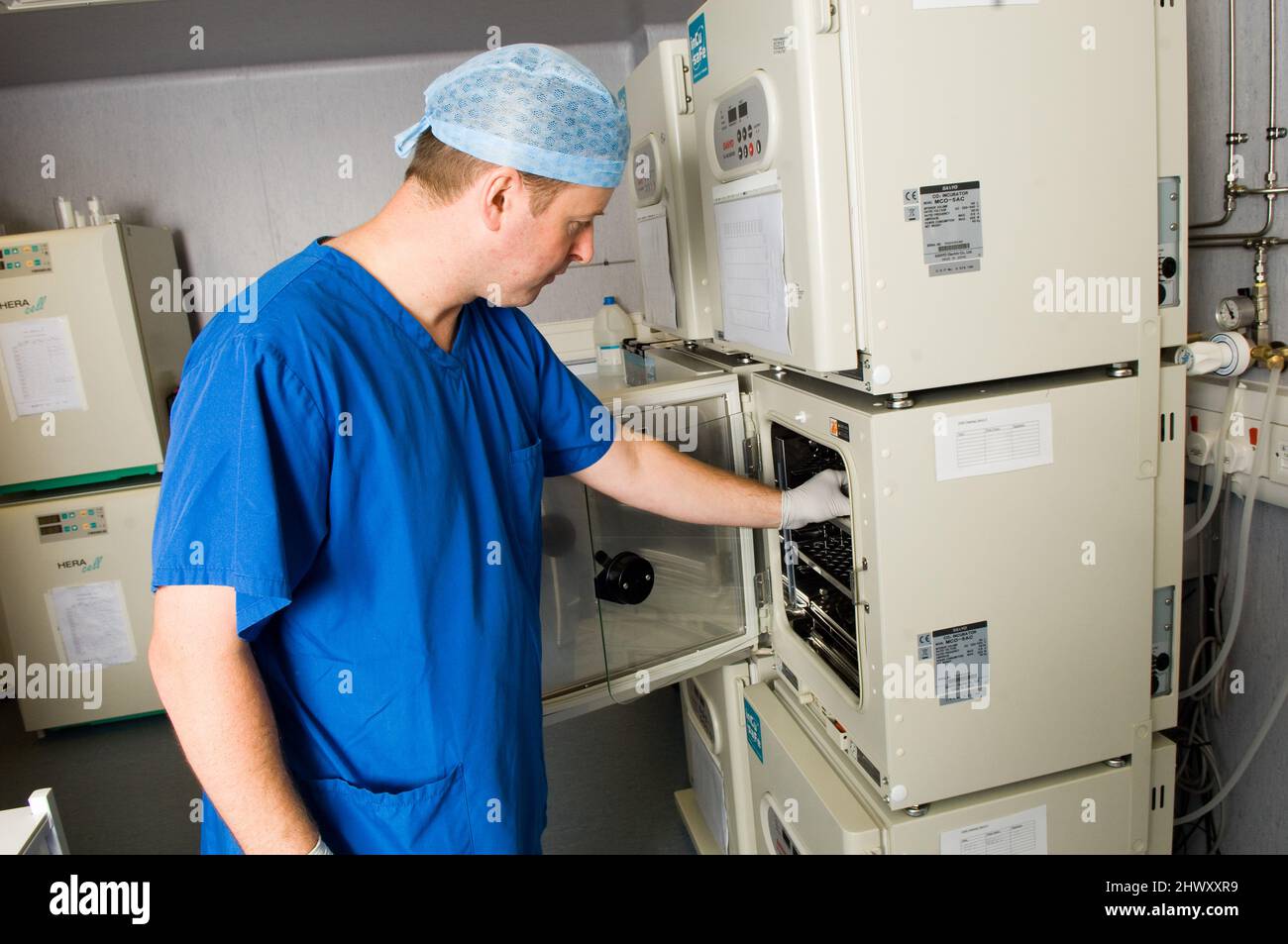 A doctor placing fertilised embryos into an incubation unit. The unit ...