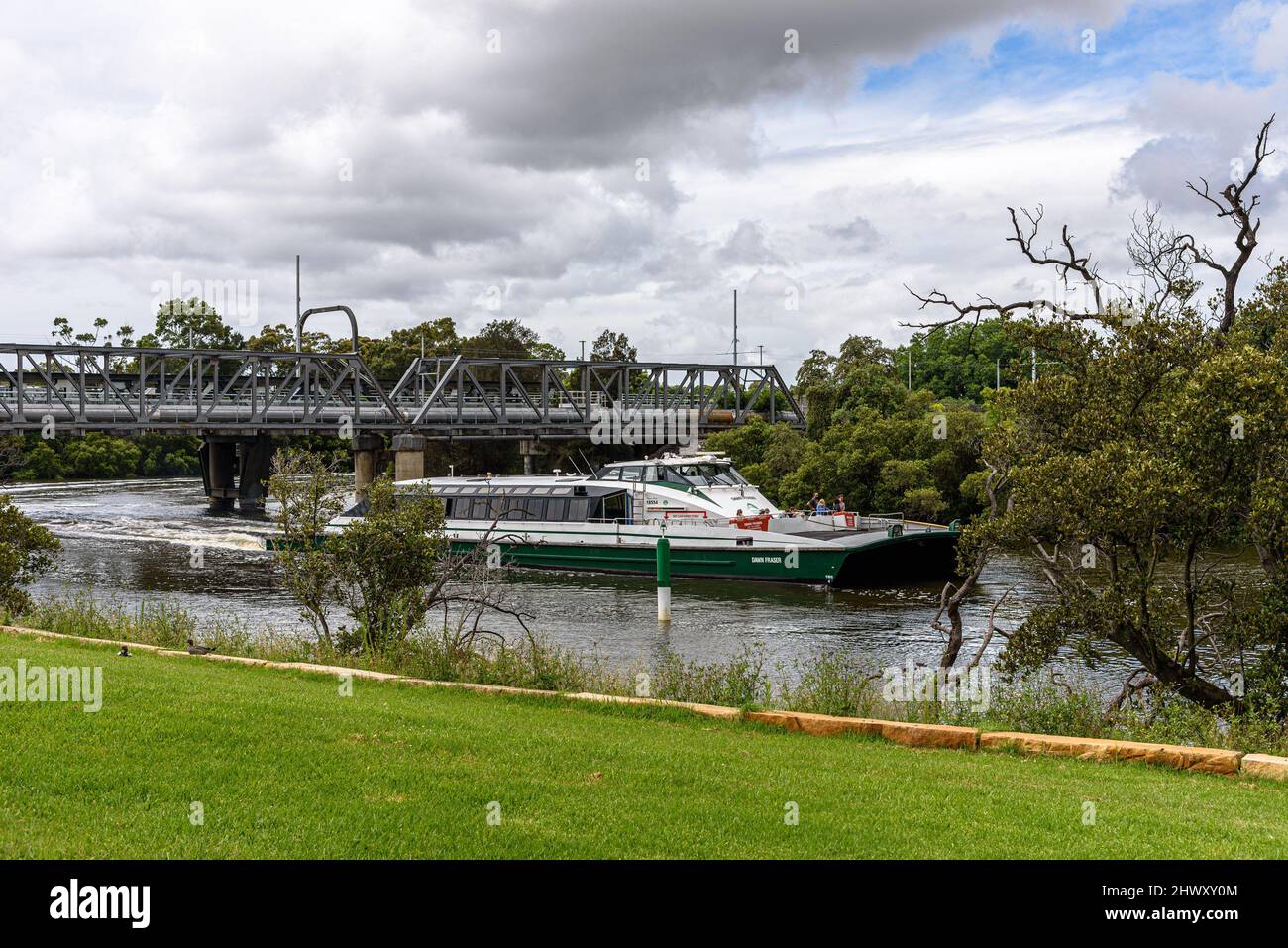 The Dawn Fraser rivercat ferry on the Parramatta River passing by a ...