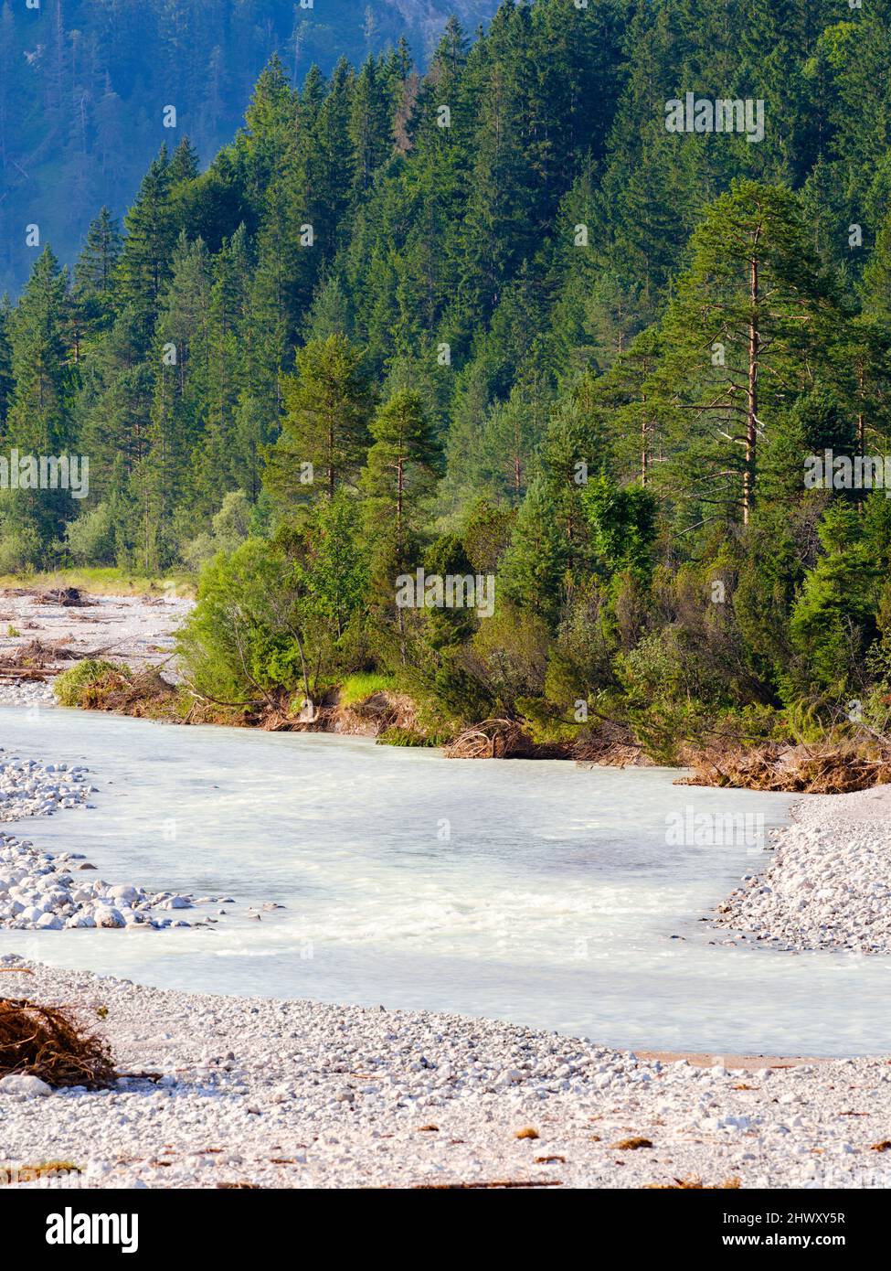 Creek Rissbach, one of the few wild braided rivers in Germany, near ...