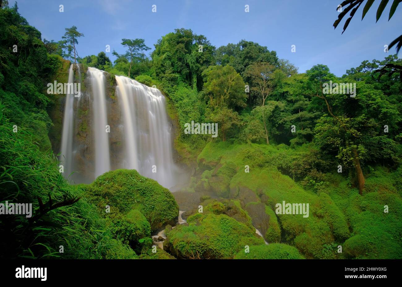 Curug Sewu Waterfall in Kendal. Waterfall in the middle of the forest ...