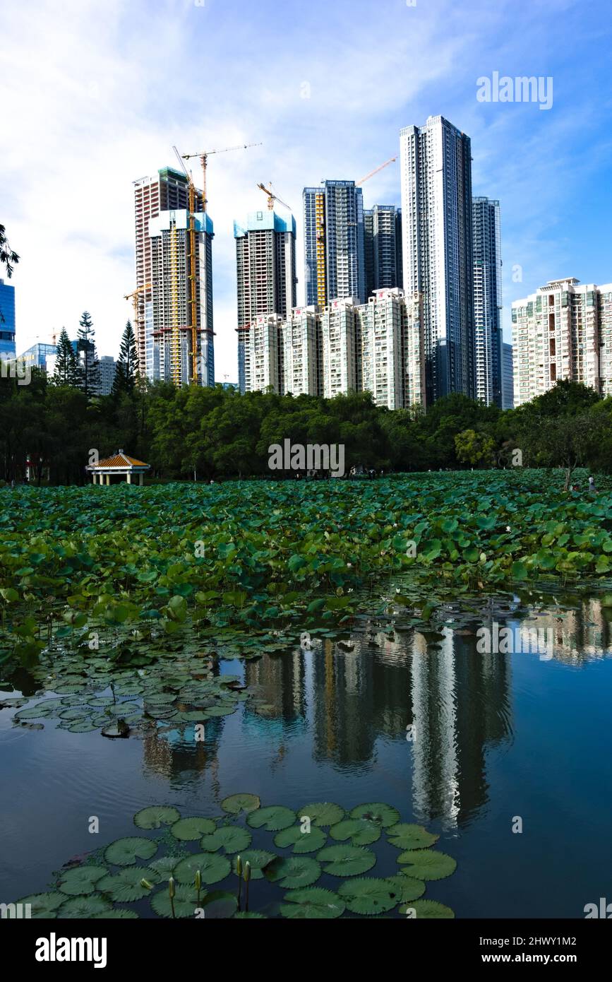 Urban beauty showing high-rise buildings reflected in a pond in ...