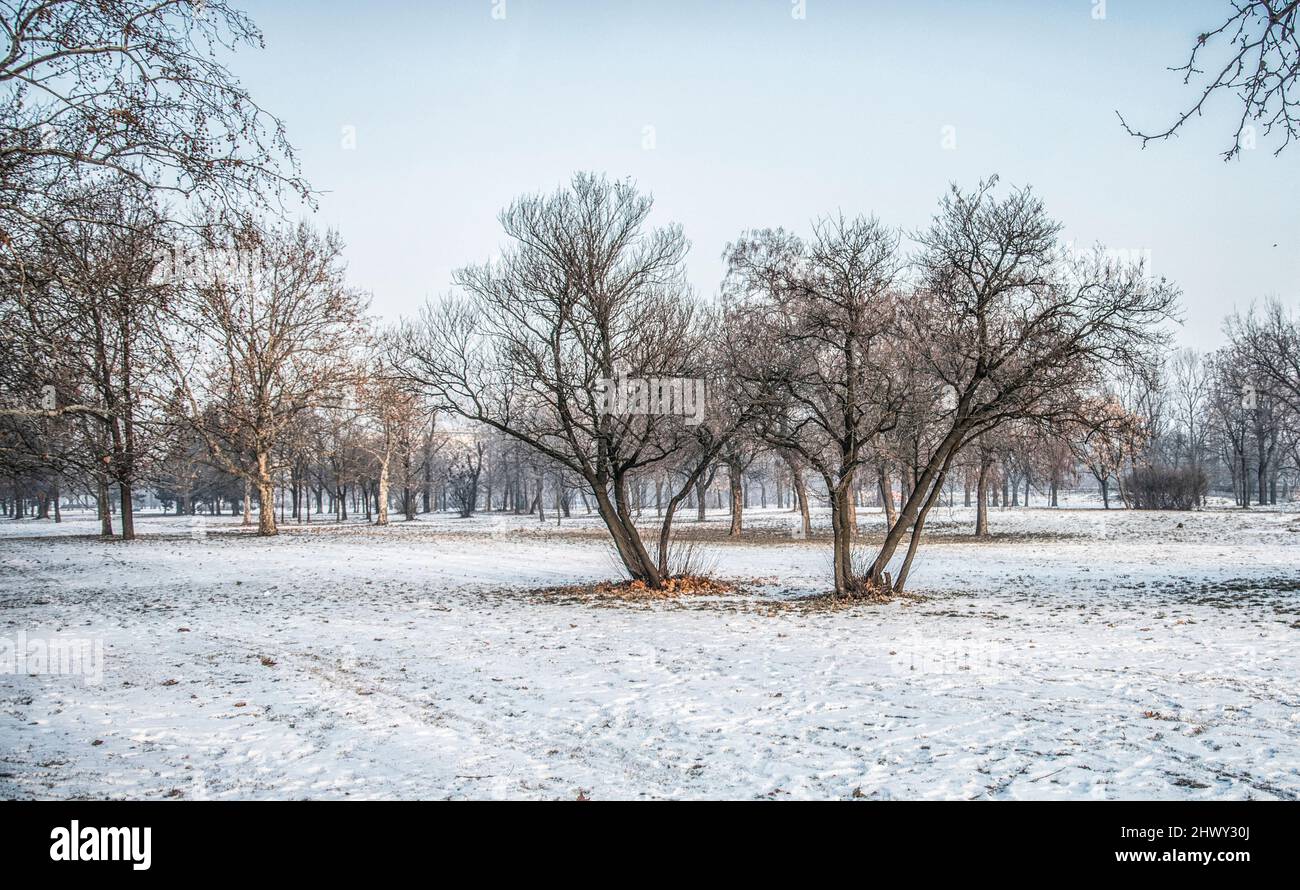 Snowy landscape winter scene hi-res stock photography and images - Alamy