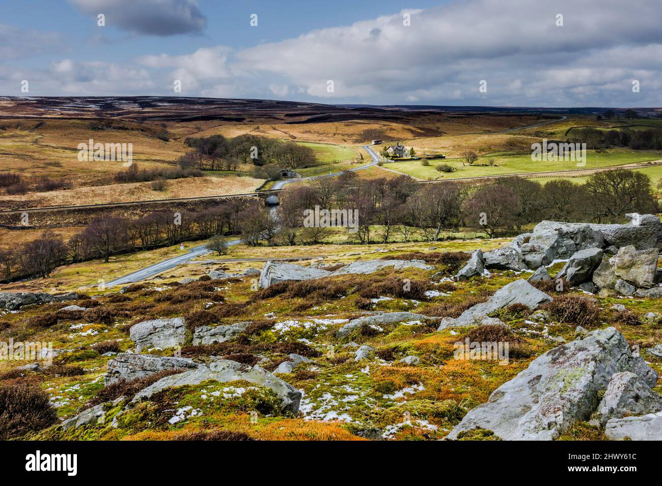 North York Moors with colorful flowering grasses with patches of ...