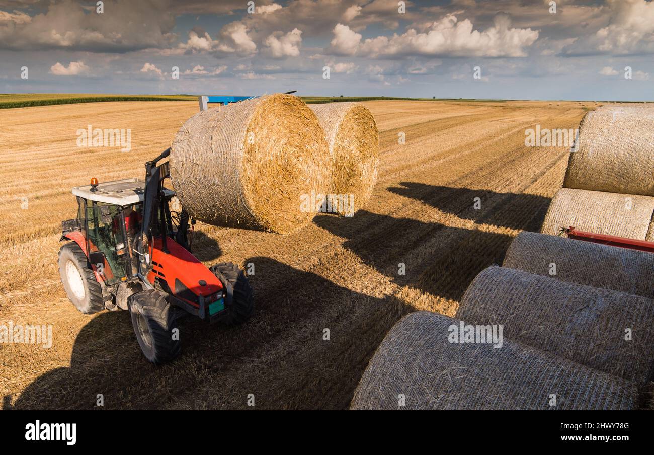 Agriculture straw wagon in farm field Stock Photo - Alamy