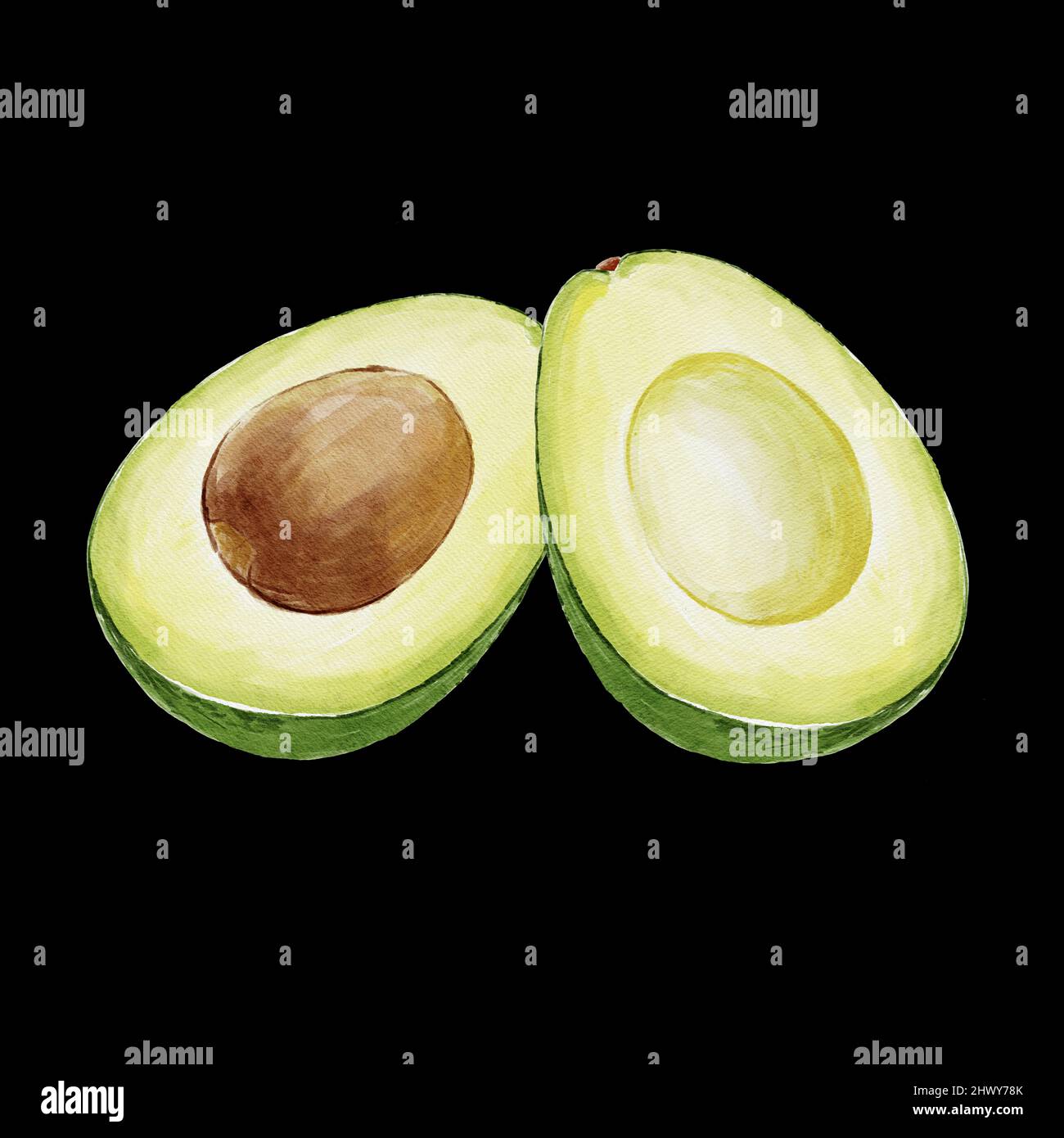 avocado watercolor illustration on black background Stock Photo - Alamy