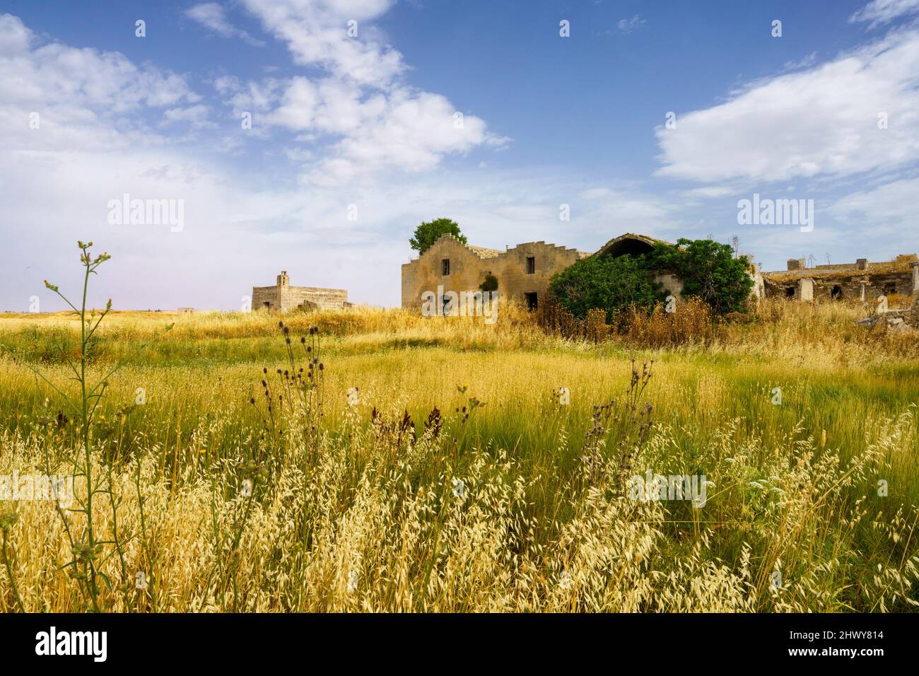 Country landscape along the road from Matera to Gravina di Puglia ...