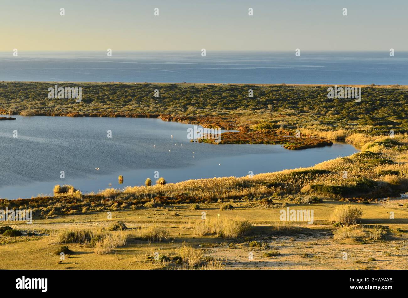Punta entinas sabinar natural area hi-res stock photography and images ...