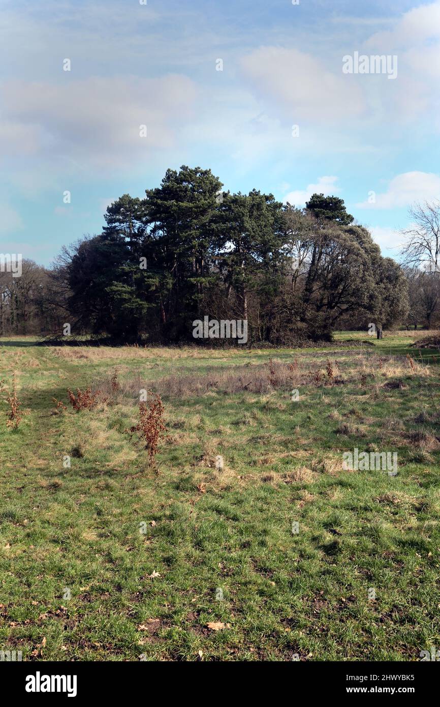 Henry viii hunting hi-res stock photography and images - Alamy