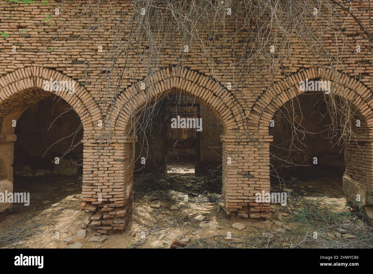 Panoramic View to the Sandy Walls of the Derawar Fort in Cholistan ...