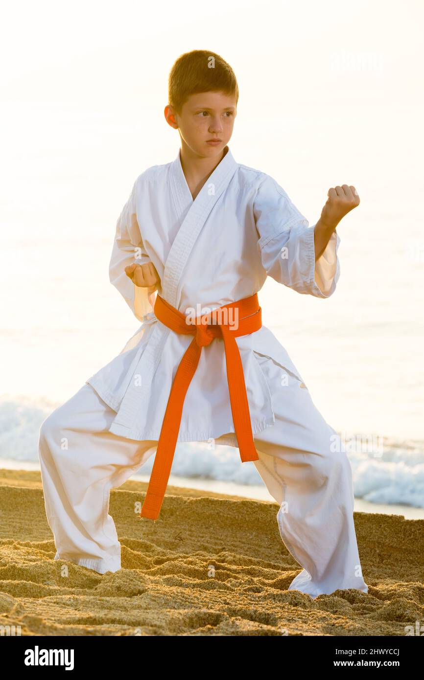Teen boy karate kick hi-res stock photography and images - Alamy