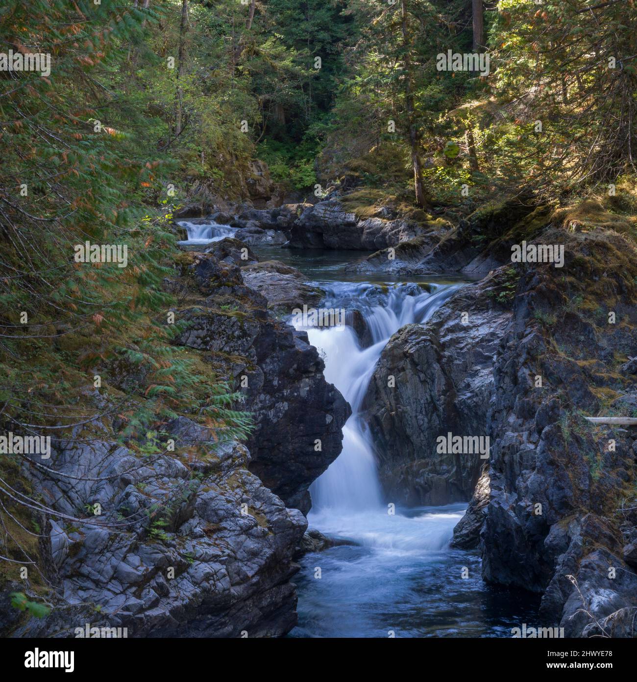 River flowing through Englishman River Falls Provincial Park, Vancouver ...