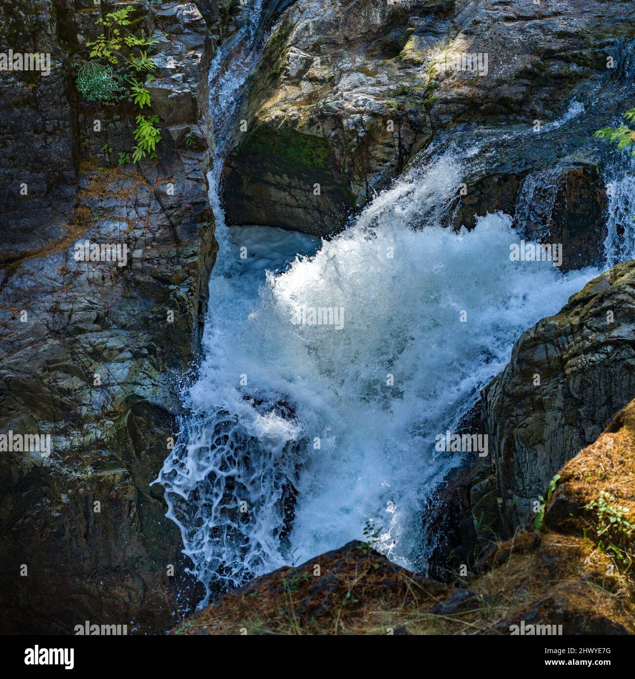 Waterfall in Englishman River Falls Provincial Park, Vancouver Island ...