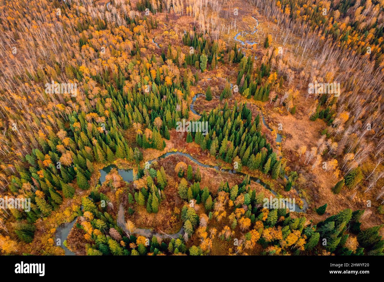 Danube meander hi-res stock photography and images - Alamy