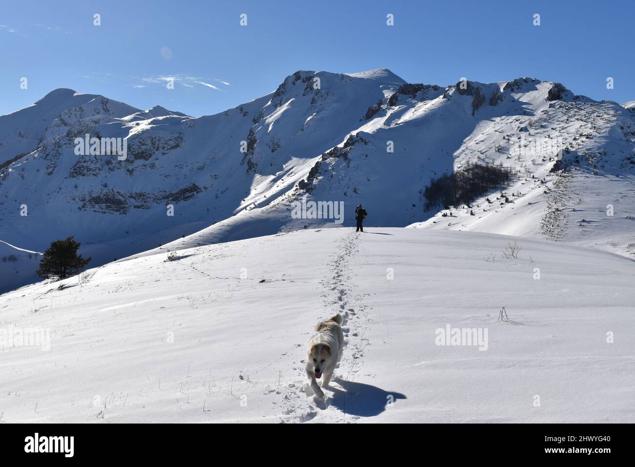 Winter hiking day on Zelengora mountain, Bosnia, Part 3 Stock Photo - Alamy