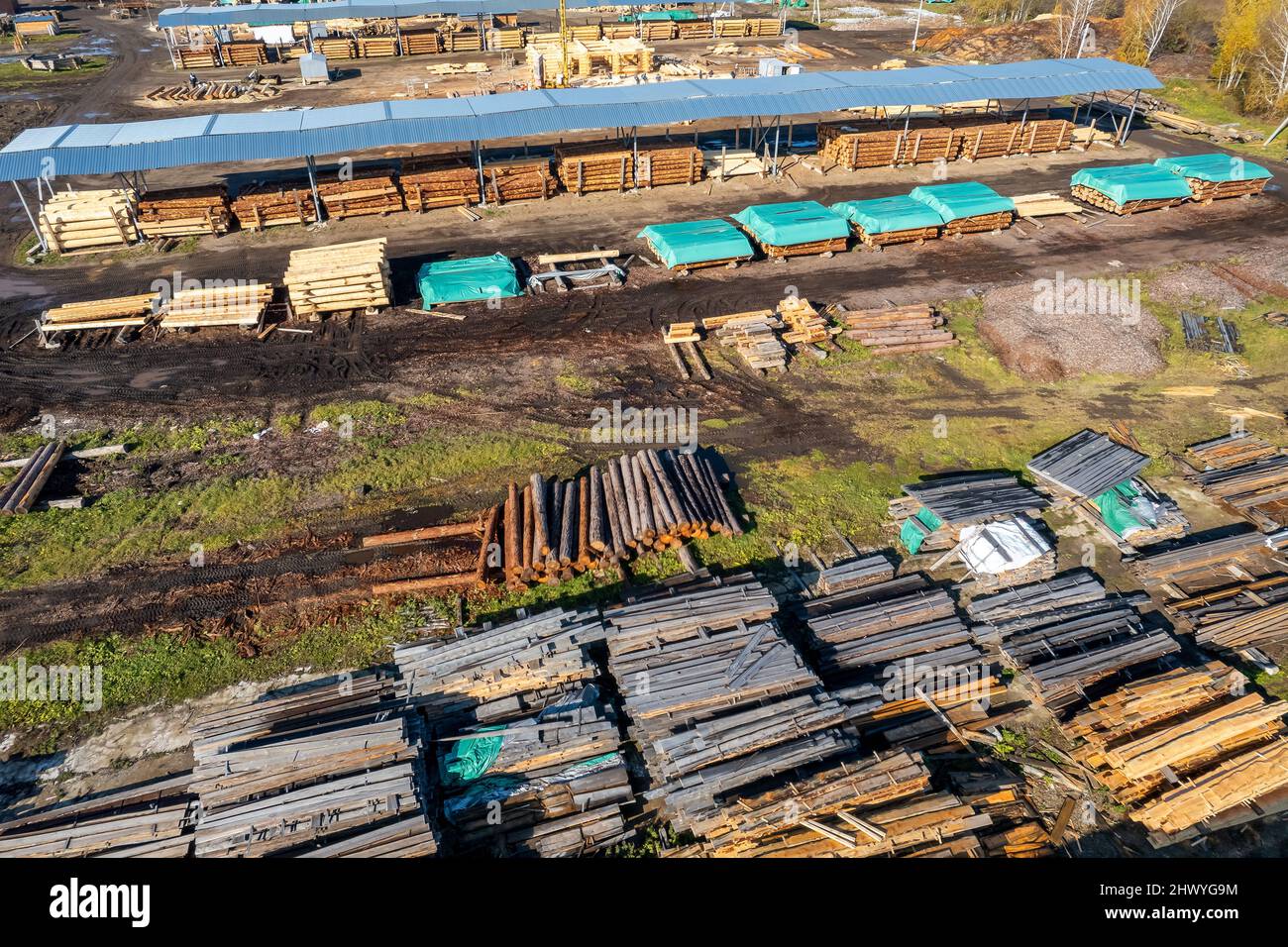 Warehouse storage Log trunks pile trees, logging timber wood industry ...
