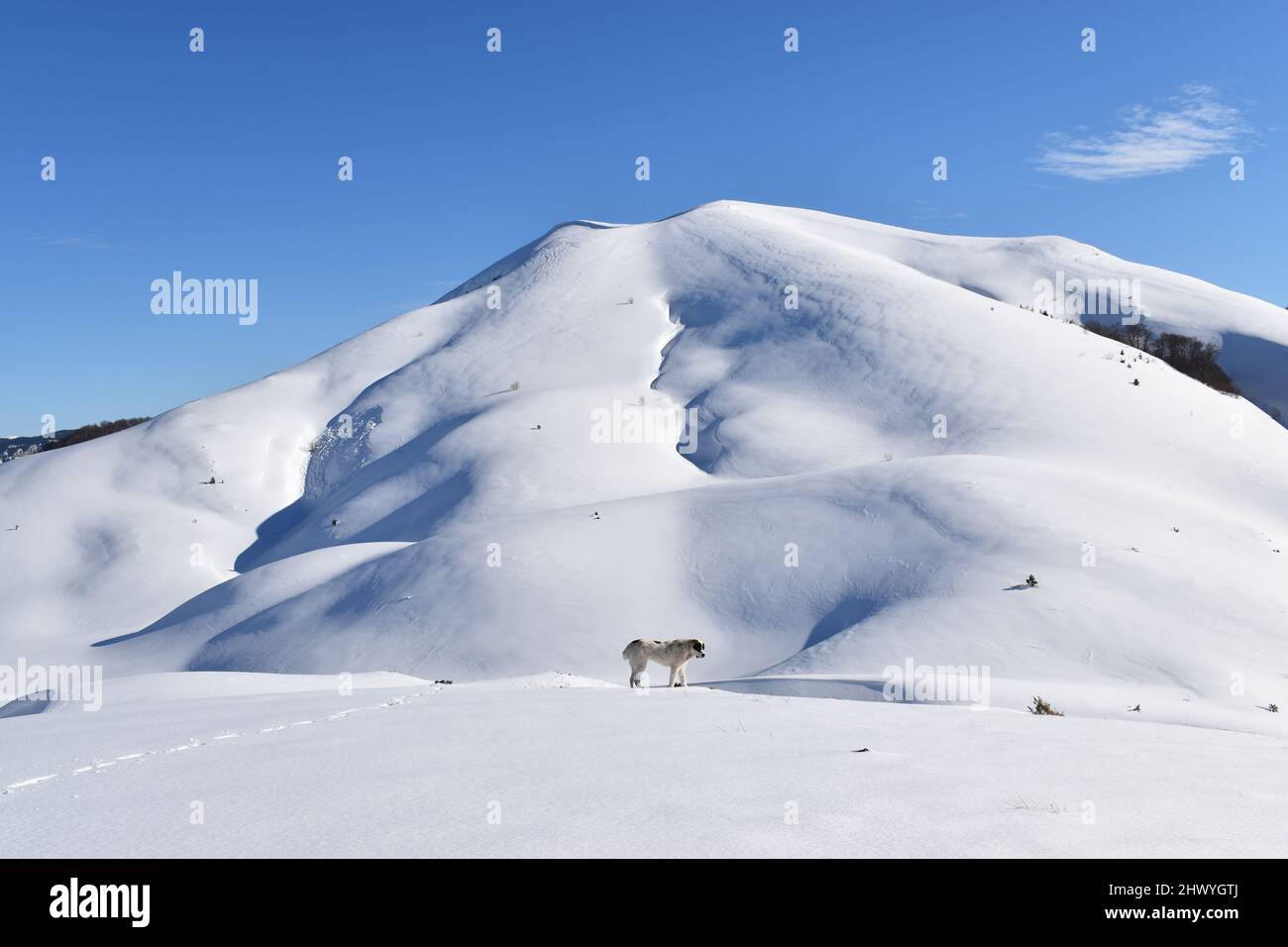Winter hiking day on Zelengora mountain, Bosnia, Part 3 Stock Photo - Alamy