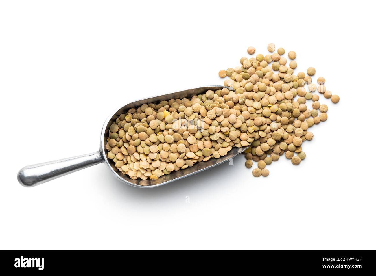 Uncooked brown lentils. Raw legume in scoop isolated on a white ...