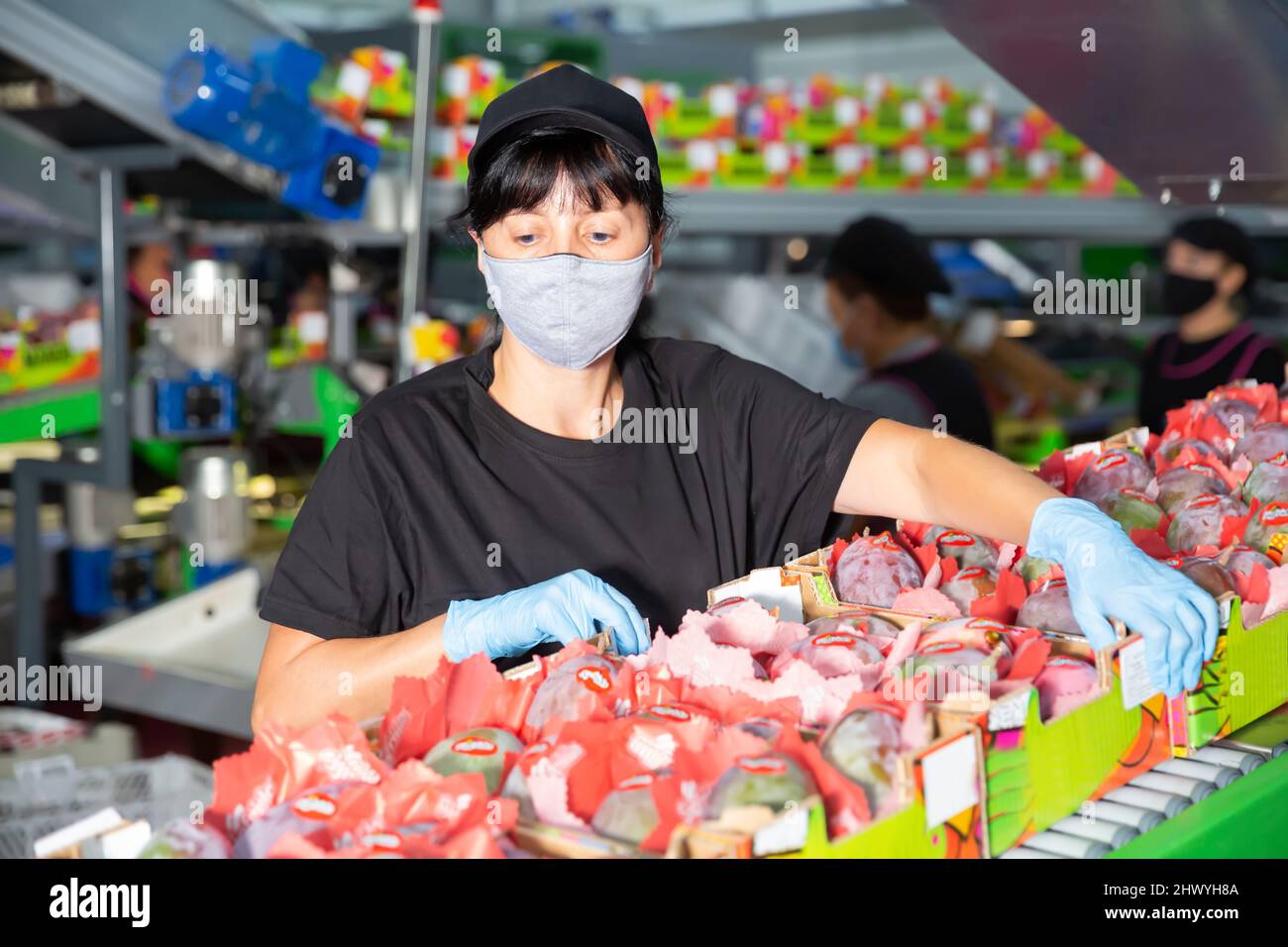 Box of mangoes hi-res stock photography and images - Alamy