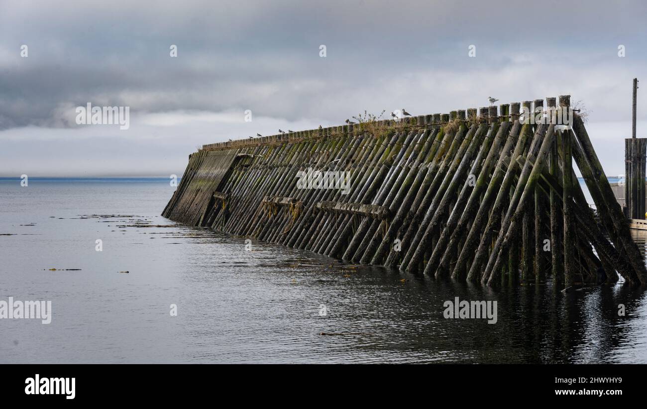 Wooden barrier along shoreline of Alert Bay, Cormorant Island ...