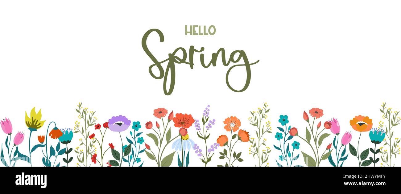 Flower bottom border hi-res stock photography and images - Alamy