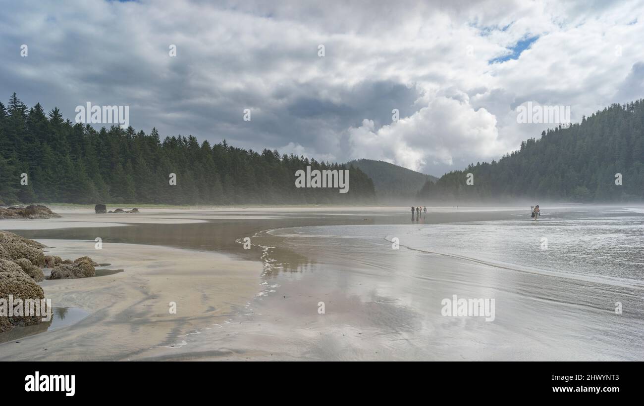 Tourists strolling along Shoreline in Cape Scott Provincial Park, San ...