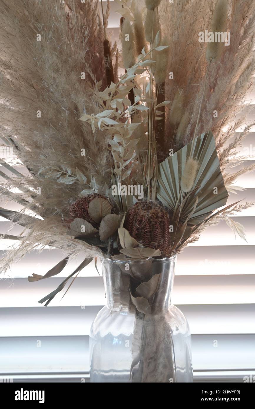 Dried grasses vase hi-res stock photography and images - Alamy