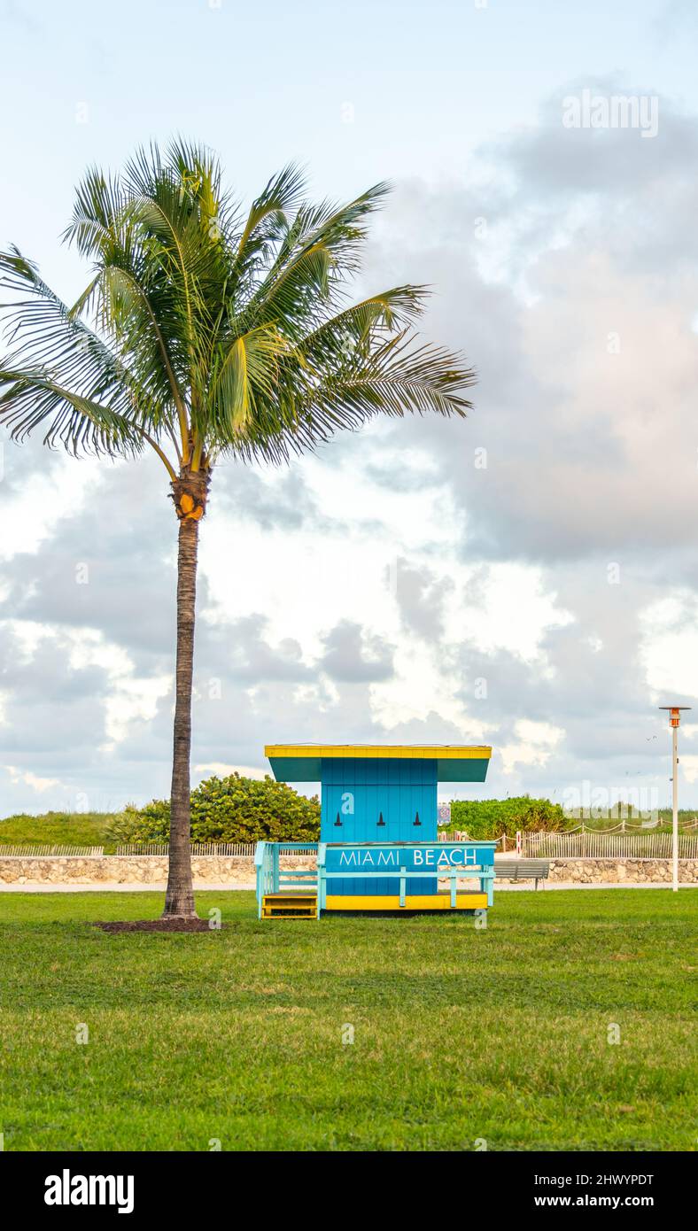 Beachfront and sea grass hi-res stock photography and images - Alamy