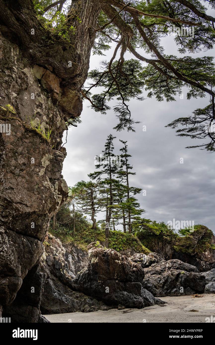 Rocky Shoreline in Cape Scott Provincial Park, San Josef Bay, Vancouver ...