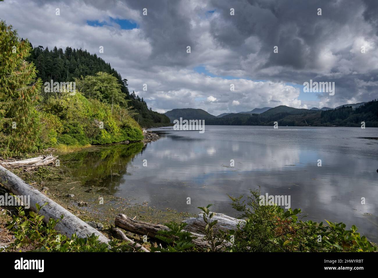 Holberg inlet hi-res stock photography and images - Alamy