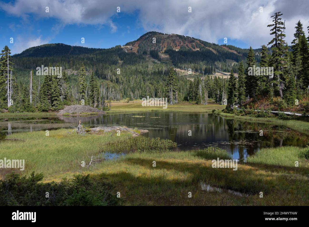 Landscape at Forbidden Plateau, Mount Washington ski area, Paradise ...