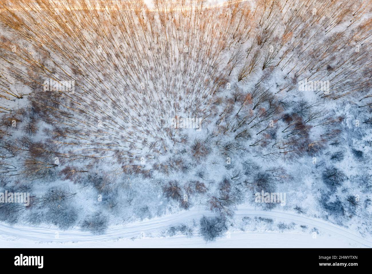 Aerial top down drone view of a road on winter snow covered fields and ...