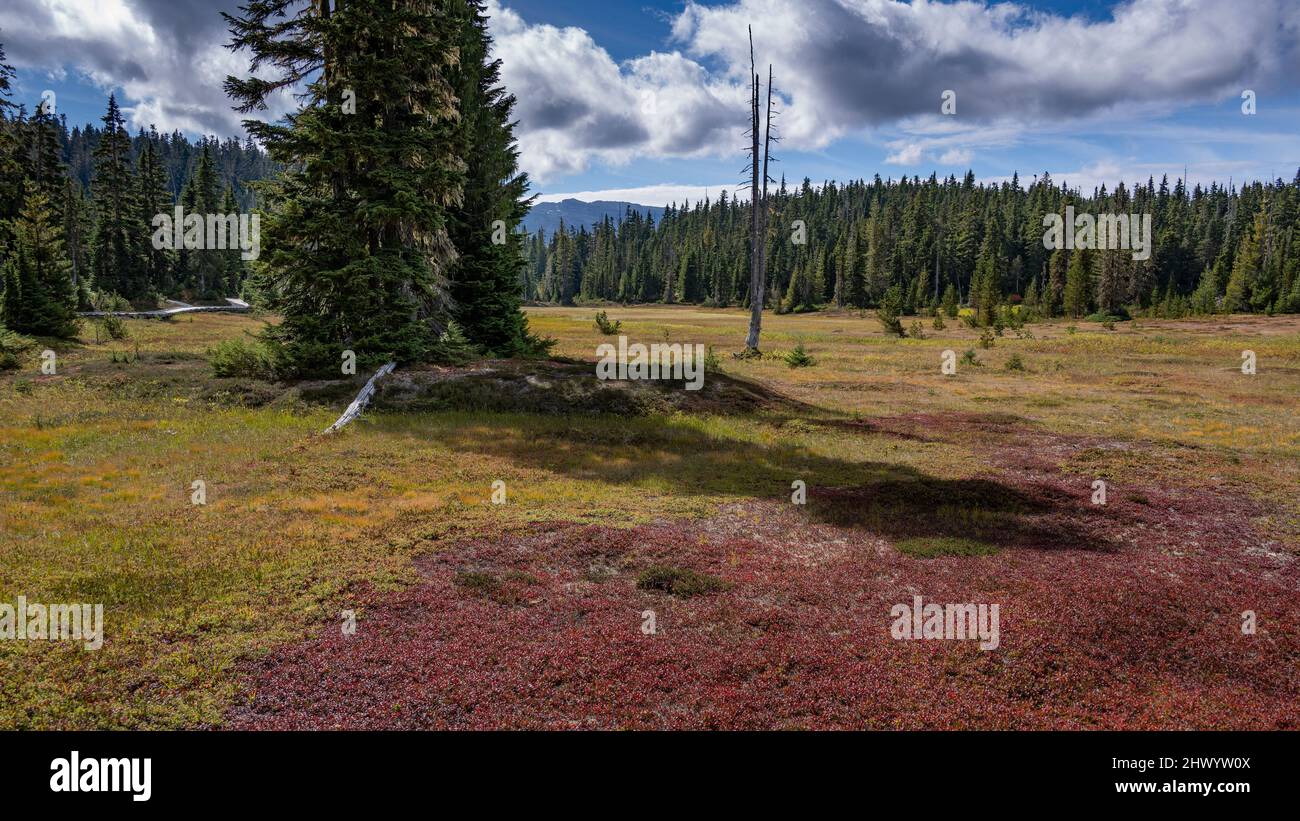Comox valley regional district hi-res stock photography and images - Alamy