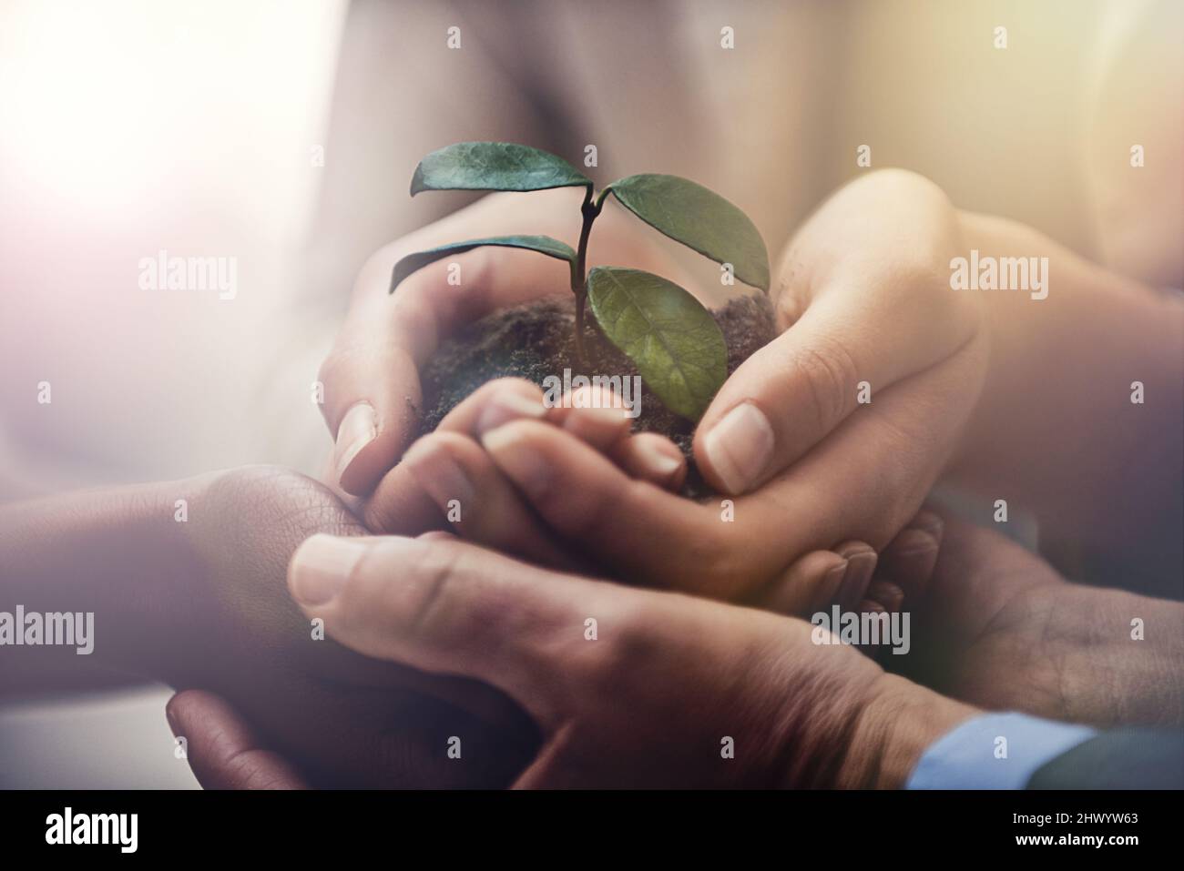 Team nurturing hi-res stock photography and images - Alamy