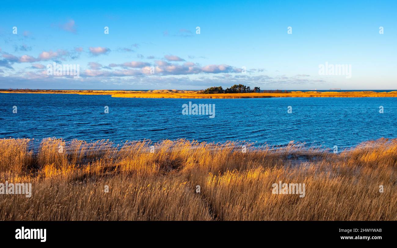 Bird Paradise lake - Ptasi Raj - lake wildlife reserve landscape with ...