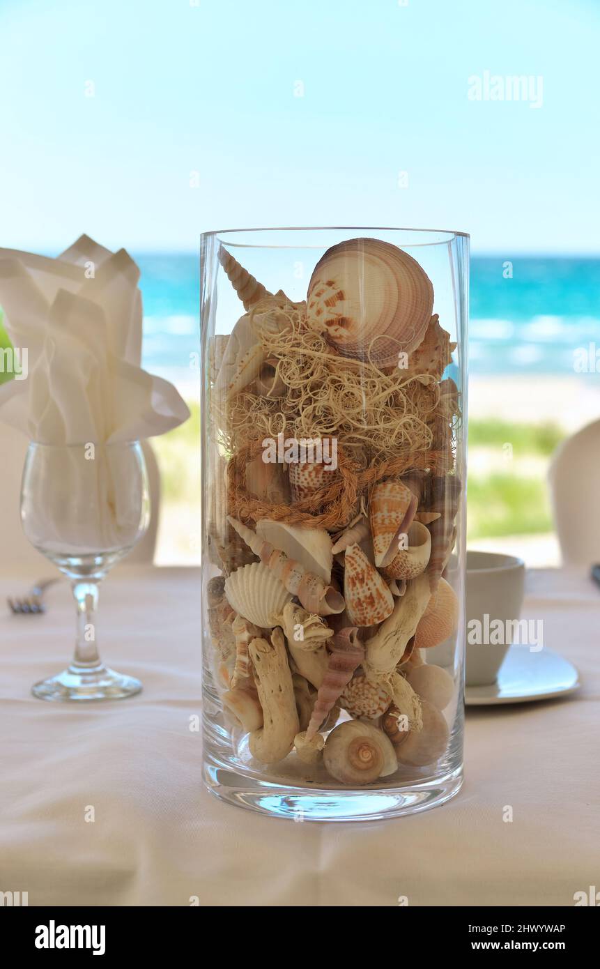 Glass Vase Centerpiece Filled with a Variety of Sea shells for a Beach ...